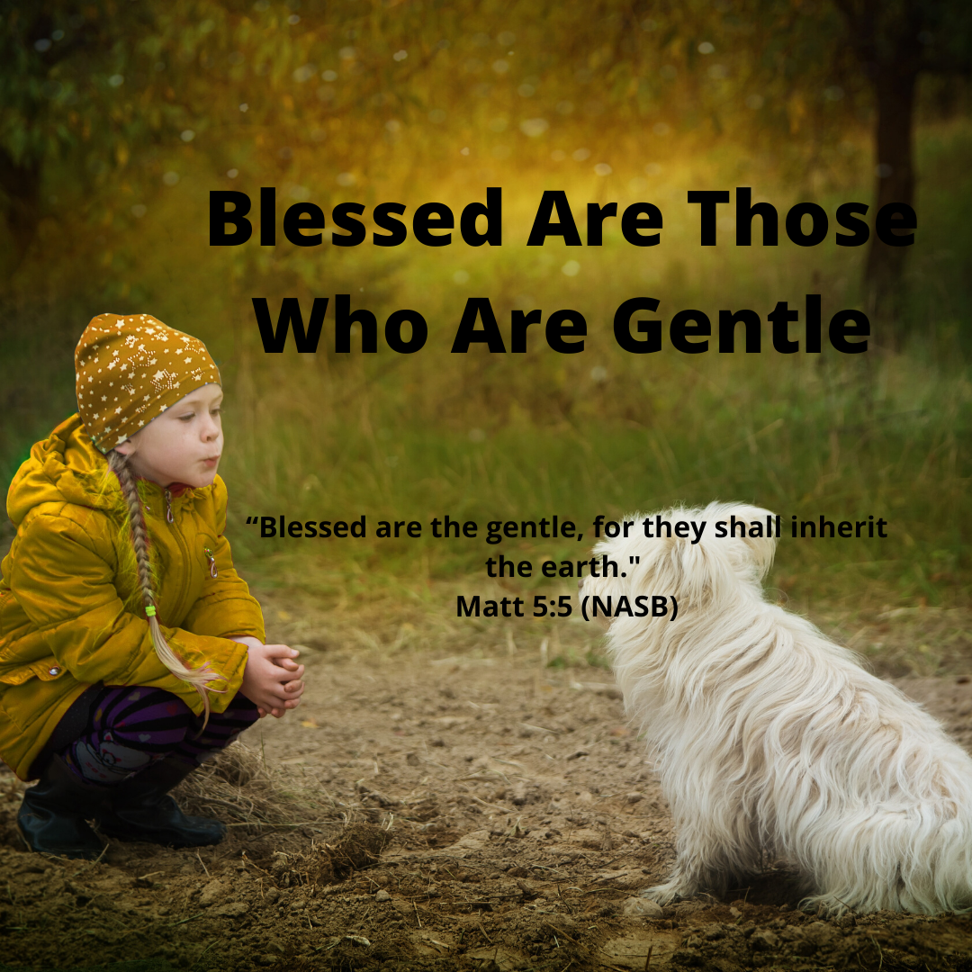 Blessed Are Those Who Are Gentle – Rooted, Built, Established